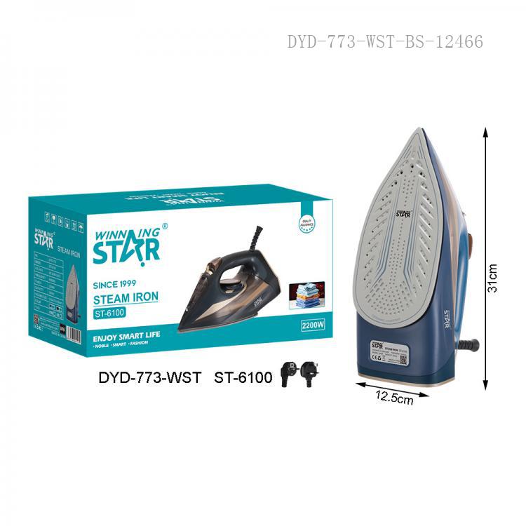 Winning Star ST-6100 Electric Steam Iron – Yammine Electronics