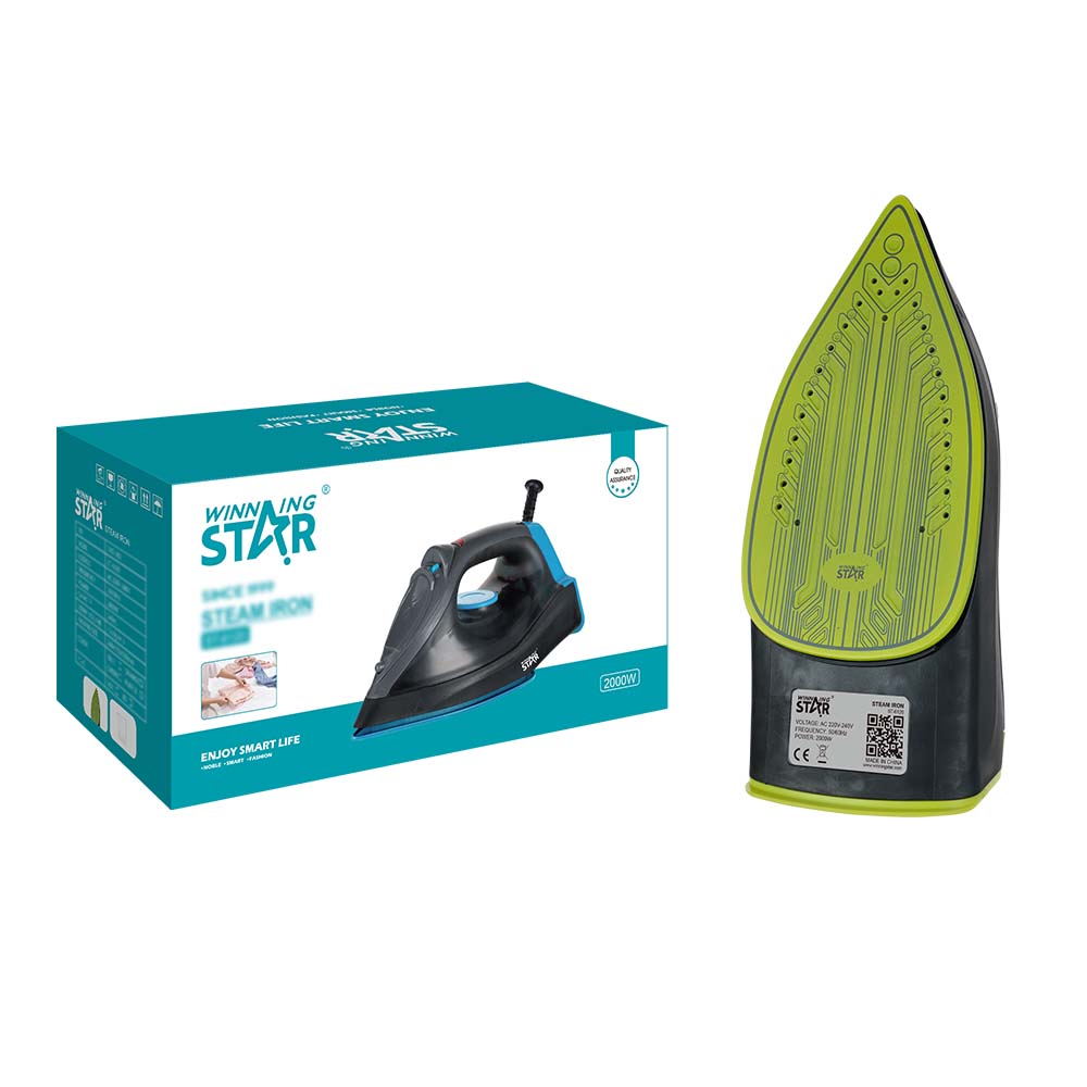 Winning Star ST-6120 2000w Garment Steamer Electric Steam Iron for ...